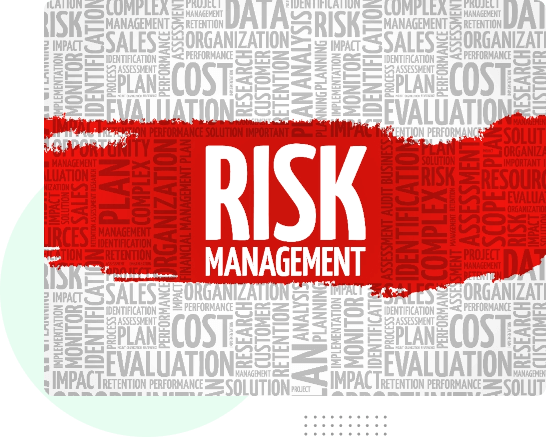 Enterprise IT Risk Management Services - Ace Cloud Hosting