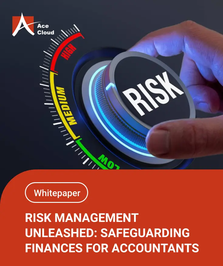 Financial Safeguard: Mastering Risk Management for Accountants
