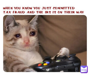 111 Funny Tax Season Memes for CPAs and Accountants