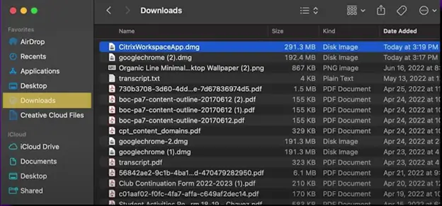 How to Install & Uninstall Citrix Workspace on Windows, Mac, and Mobile