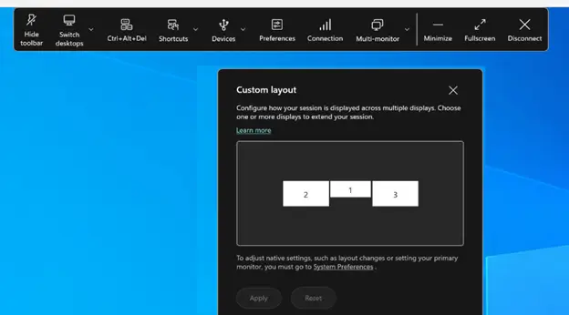 How to Configure Dual Monitors in Citrix Workspace?