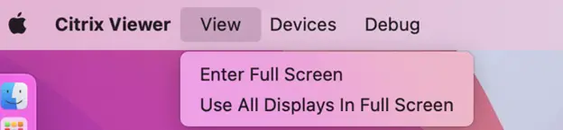 How to Configure Dual Monitors in Citrix Workspace?